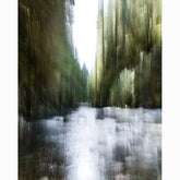 COASTAL – Lindsay Nichols Photography