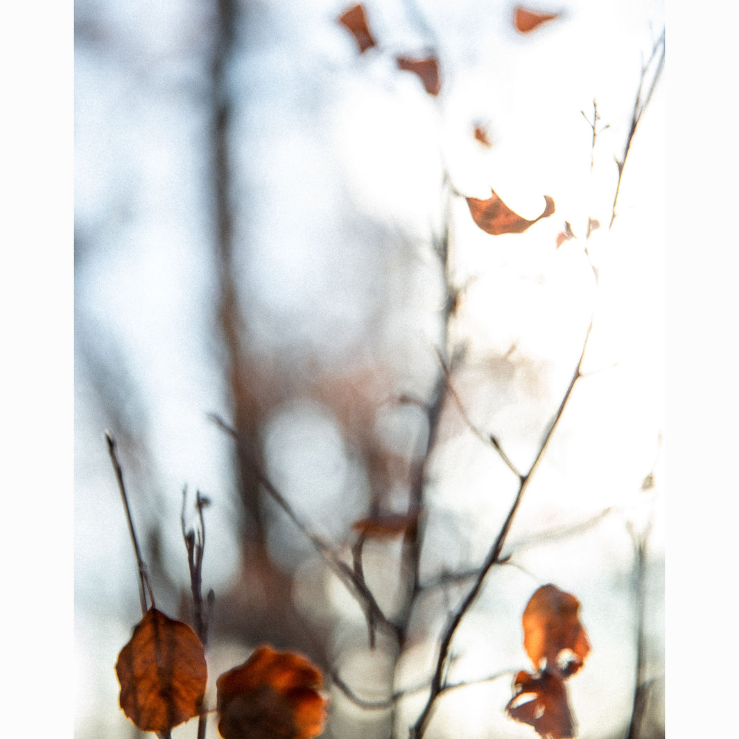 LIMINAL – Lindsay Nichols Photography