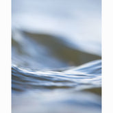 CURRENTS – Lindsay Nichols Photography