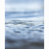 CURRENTS – Lindsay Nichols Photography