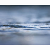 CURRENTS – Lindsay Nichols Photography